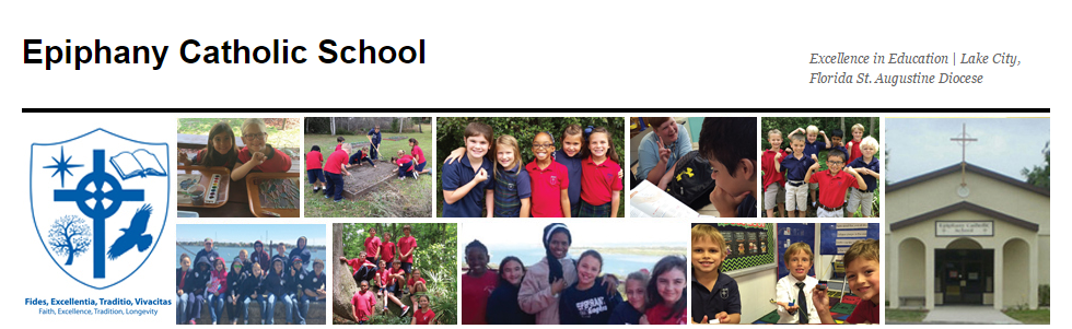 Epiphany Catholic School - Application - Log In
